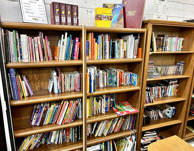 Bookshelves loaded with stories waiting for new readers, because everyone deserves a second chapter in a different home.