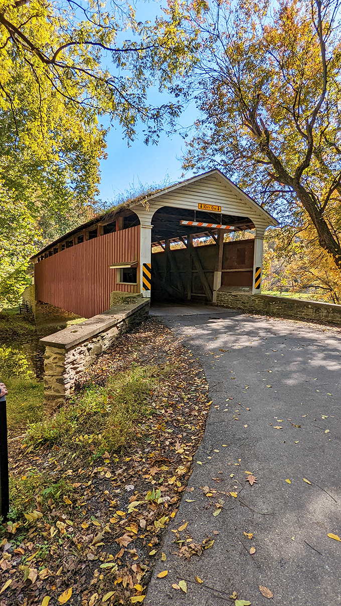 Fall might be the bridge's most photogenic season, when golden leaves complement the rustic red siding perfectly.
