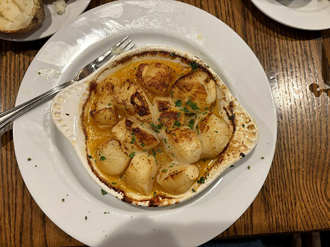 These broiled scallops aren't just caramelized – they're having their golden moment in a buttery pool that you'll want to soak up with anything available.