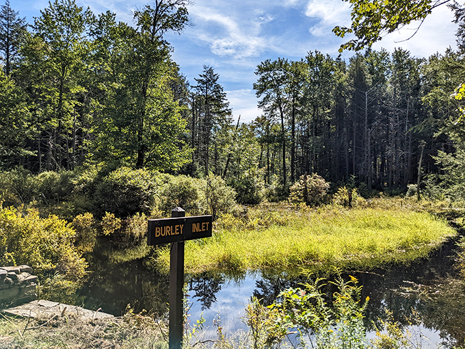 Burley Inlet's hidden charm – where the water meets the wild in a quiet corner that feels like nature's secret hideaway.