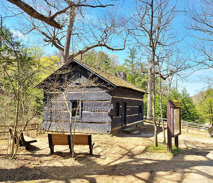 The historic log cabin stands as testament to pioneer grit, when "roughing it" meant actual roughness, not losing Wi-Fi for ten minutes.