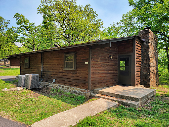 The cabins offer that perfect middle ground between "roughing it" and "I still want a real bed and air conditioning, thank you very much."