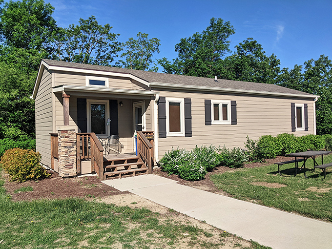 Modern comfort meets woodland charm. These cabins offer all the coziness of camping with the crucial upgrade of actual beds and indoor plumbing.