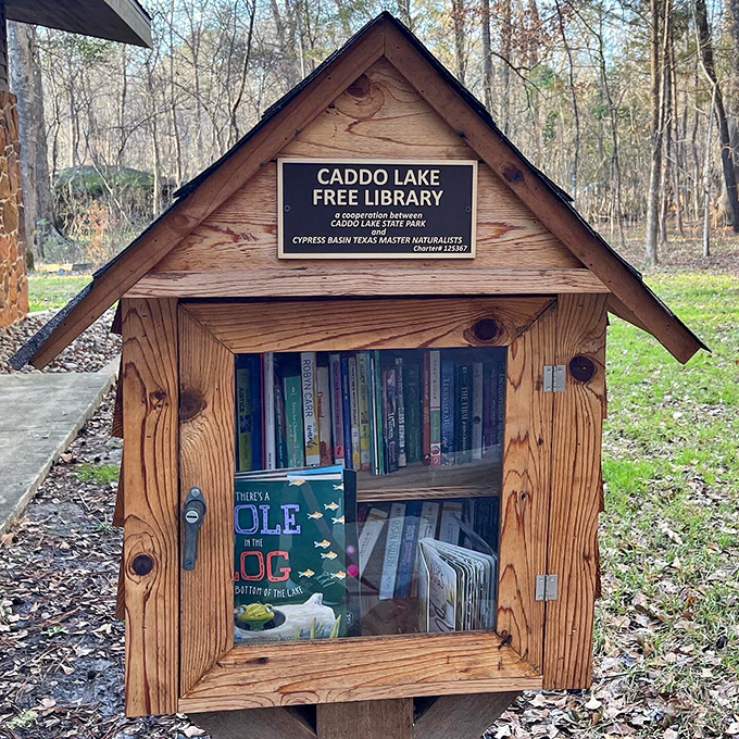 The world's most charming library doesn't need late fees or membership cards&mdash;just a love of reading in the great outdoors.
