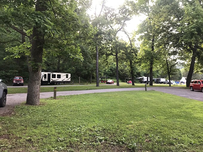 Camping among giants &ndash; towering trees provide natural air conditioning for RVs and tents alike in Roaring River's spacious, well-maintained campgrounds.