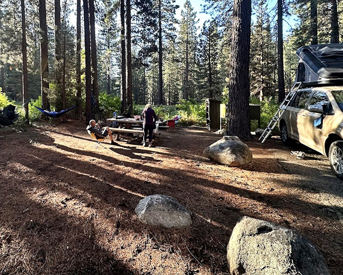 Campsite living where your neighbors are pine trees and the occasional deer checking your cooler situation.