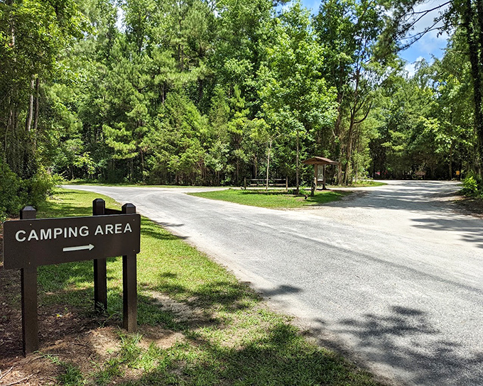 The road less traveled sometimes has helpful signage. This path to adventure comes with clear directions and zero traffic.