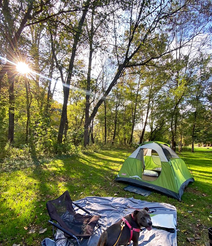 Camping: where you spend thousands on gear to live like someone who has nothing, and love every minute of it.