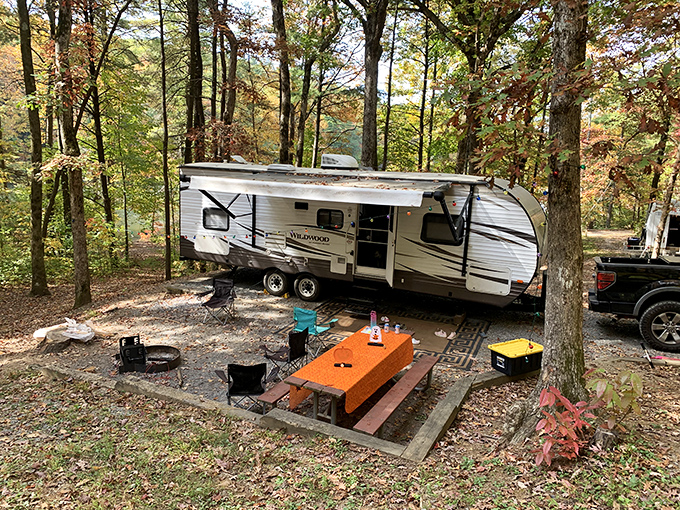 Camping in comfort &ndash; where "roughing it" means having your morning coffee with a side of birdsong and dappled sunlight.