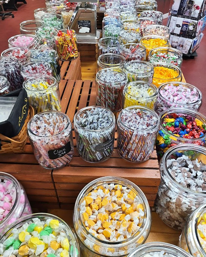 Candy jars that transform adults into wide-eyed children. The colors alone create a dopamine rush before the sugar even hits your system.