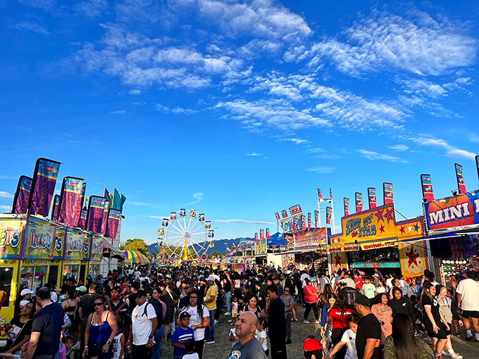 The Cassia County Fair transforms this quiet town into a vibrant celebration where funnel cakes and Ferris wheels remind us that simple pleasures never go out of style.