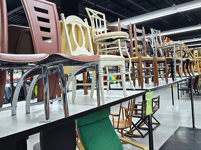 The chair parade stands at attention, each with a story and a price tag that won't make you stand up in shock. That white one has dinner party written all over it.