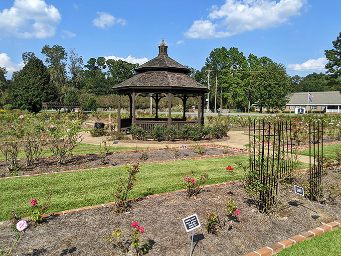 The Thomasville History Center's stately brick facade houses stories more colorful than its well-manicured lawn. History never looked so inviting.