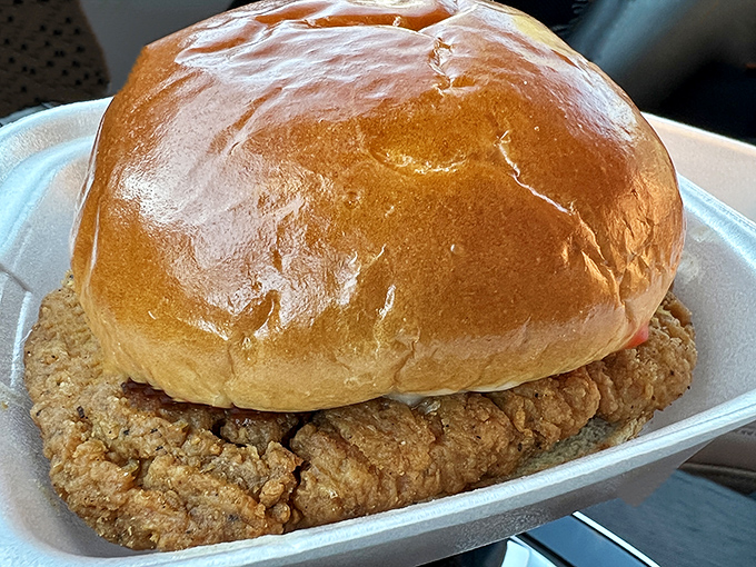 The chicken sandwich's golden-brown perfection suggests it wasn't rushed&mdash;a refreshing reminder that fast food doesn't have to sacrifice quality for speed.