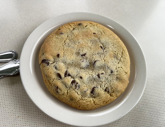 This chocolate chip cookie looks like it graduated from the school of "grandma's secret recipe." Crisp edges, soft center, and chocolate chips in perfect proportion.