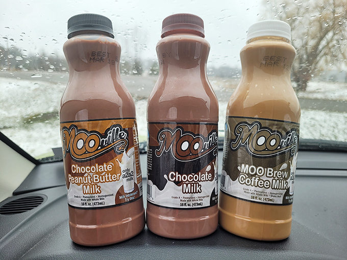 The holy trinity of flavored milk &ndash; chocolate, chocolate peanut butter, and coffee &ndash; bottled happiness that makes ordinary milk seem like a missed opportunity.