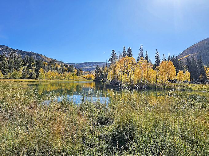 Fall's golden aspen trees create a mirror image on the water that looks like Mother Nature's showing off her Photoshop skills.