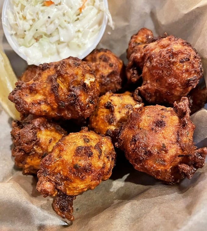 Conch fritters looking like golden orbs of happiness, perfectly fried to the shade of a South Carolina sunset. The coleslaw provides a cool counterpoint.