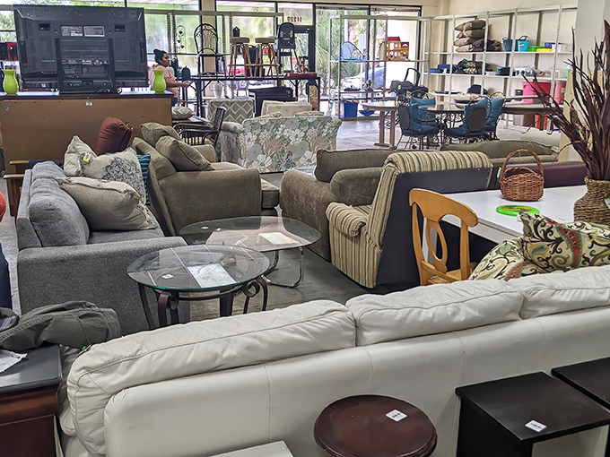 A living room tableau that could host anything from sophisticated book club discussions to marathon sessions of "The Golden Girls."