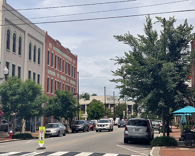 Tree-lined streets and historic buildings create Danville's distinctive urban canopy &ndash; small-town charm with a dash of sophistication.