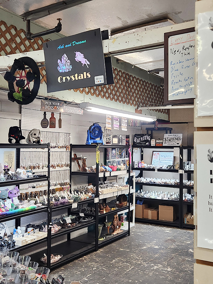Ash and Dreams crystal shop gleams with metaphysical possibilities. The "Pick Your Poison" sign adds just the right touch of mystical humor.