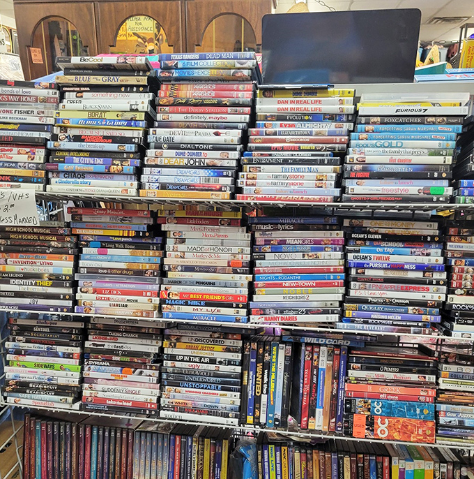 DVD library that rivals any streaming service—without the monthly subscription fee. Hollywood's greatest hits, organized with surprising precision.