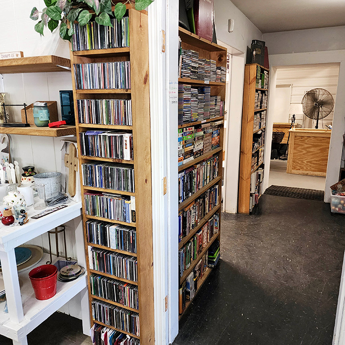 DVD towers standing sentinel remind us that physical media still matters to collectors and nostalgic movie marathoners.