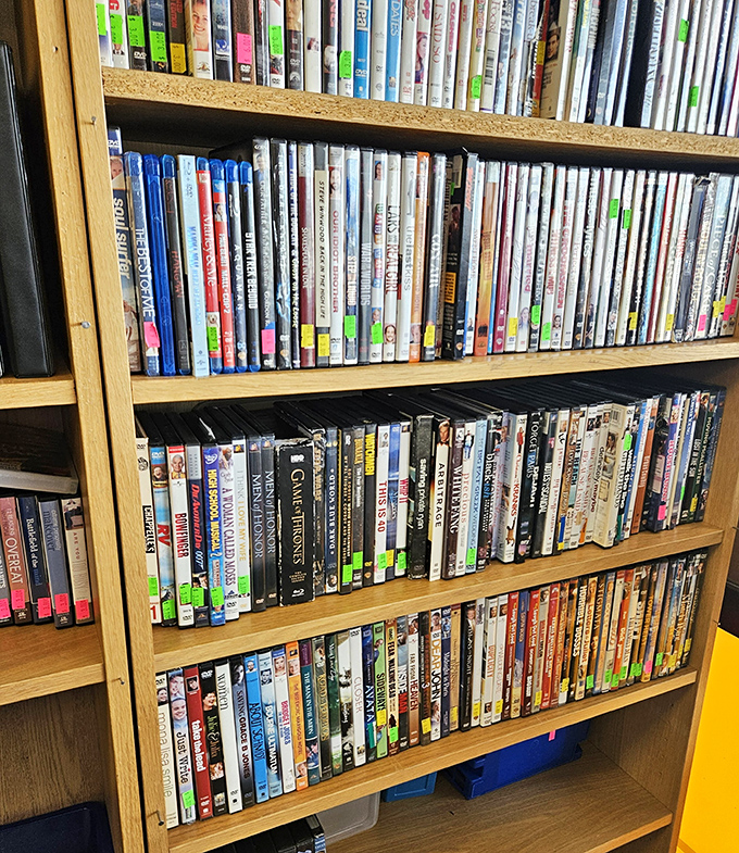 The DVD library that Netflix forgot&mdash;physical media heaven where forgotten films and TV series await rediscovery for pocket change.
