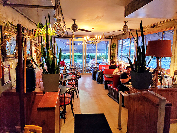 Evening at News Cafe brings a warm glow that makes everyone look like they belong in a vintage Miami postcard.