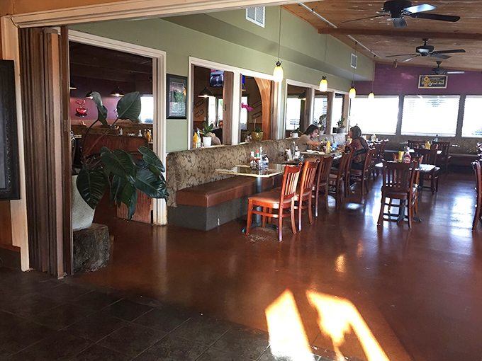Natural light floods the dining area, illuminating conversations between locals and wide-eyed tourists all united by their appreciation for thistle-based cuisine.