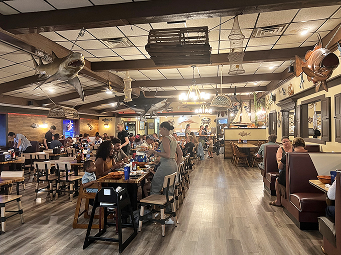 Where seafood dreams come to life under the watchful eyes of marlins and sharks who've graciously agreed not to eat the customers.