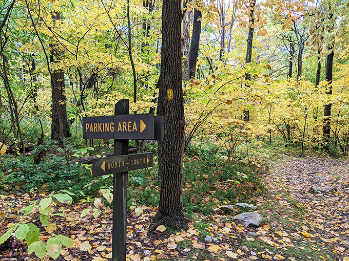 Trail markers in autumn's golden embrace &ndash; Pennsylvania's version of the yellow brick road, but with better scenery and fewer flying monkeys.