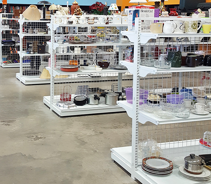 Kitchen essentials arranged with surprising precision. Each plate, pot, and peculiar serving dish holds memories of family recipes and holiday gatherings from someone else's past.