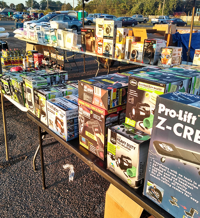 Tool time! This collection of power equipment would make Tim Allen grunt with approval—weekend projects just found their new best friends.