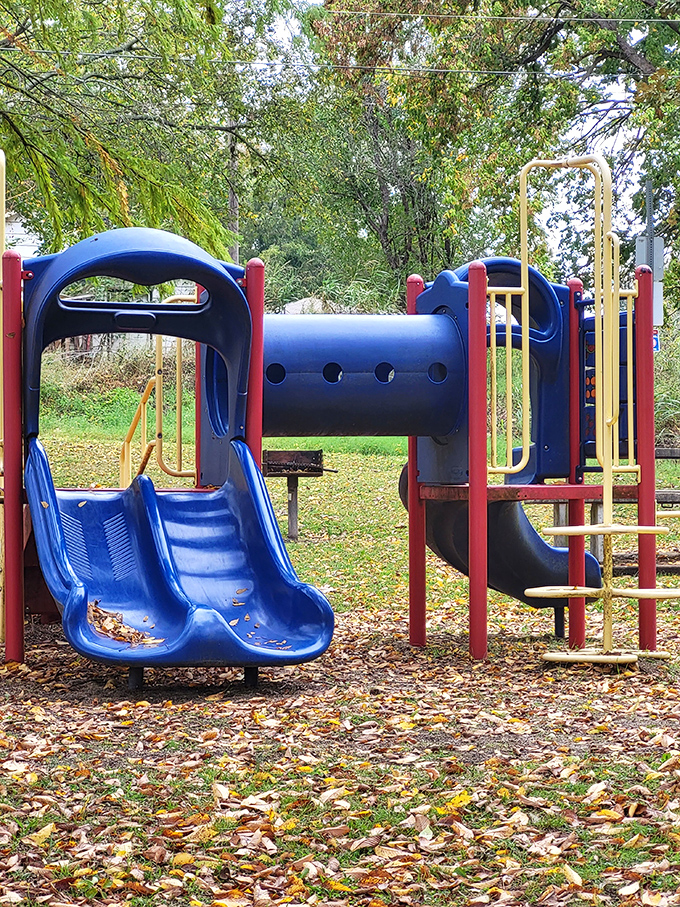 Traditional playground equipment at neighborhood parks provides simple pleasures without requiring instruction manuals or engineering degrees to understand operation.