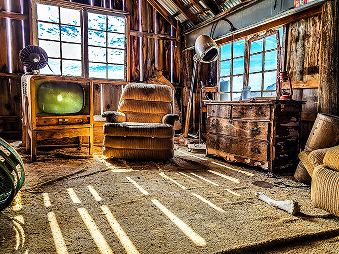 Mid-century living room or time capsule? Sunlight streams through windows onto vintage furnishings that haven't felt a human touch in generations.