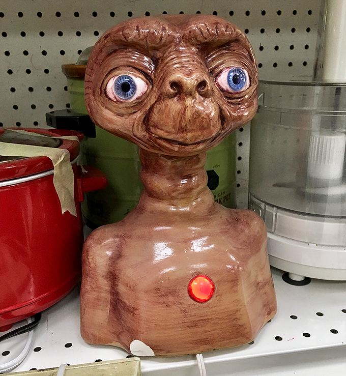 E.T. wants to phone home, but first he needs someone to adopt him from this shelf.