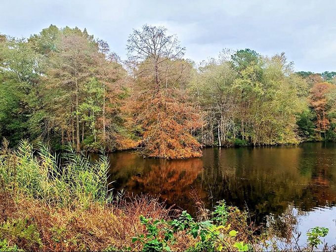 Fall transforms Trap Pond into a painter's palette of amber, russet and gold, all perfectly mirrored in the still waters below.