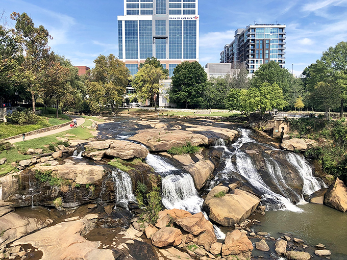Reedy Falls cascades through downtown Greenville, nature's dramatic centerpiece that makes other cities' fountains look like bathroom sinks.