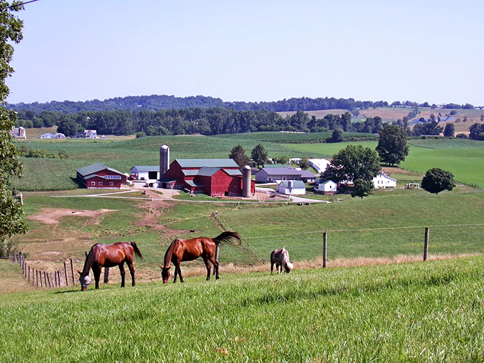 These horses grazing peacefully against a backdrop of classic red barns remind us what screensavers try desperately to imitate.