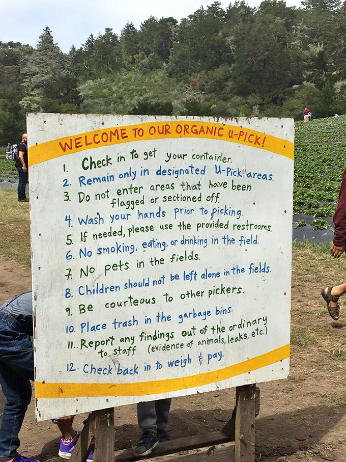 The rules of berry engagement, hand-painted with the same care that goes into growing the fruit. Rule #1: Prepare for deliciousness.