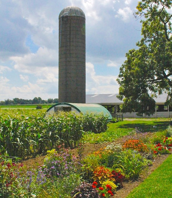 Where flowers and vegetables share real estate beneath towering silos&mdash;proof that functionality and beauty aren't mutually exclusive in farm design.