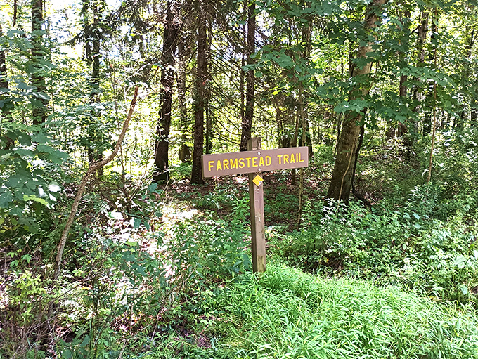 The Farmstead Trail sign stands as a humble invitation to explore history. Past and present converge with every step forward.