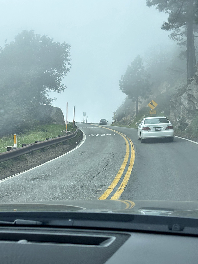 The mysterious mountain fog transforms familiar curves into an ethereal journey through the clouds.