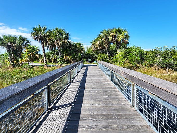 Bridging the gap between civilization and wilderness. This wooden walkway invites exploration while protecting the delicate ecosystem beneath your feet.