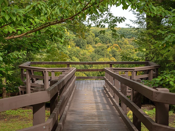 Where forest meets sky: This viewing platform offers the perfect vantage point for witnessing Ohio's verdant tapestry unfold.