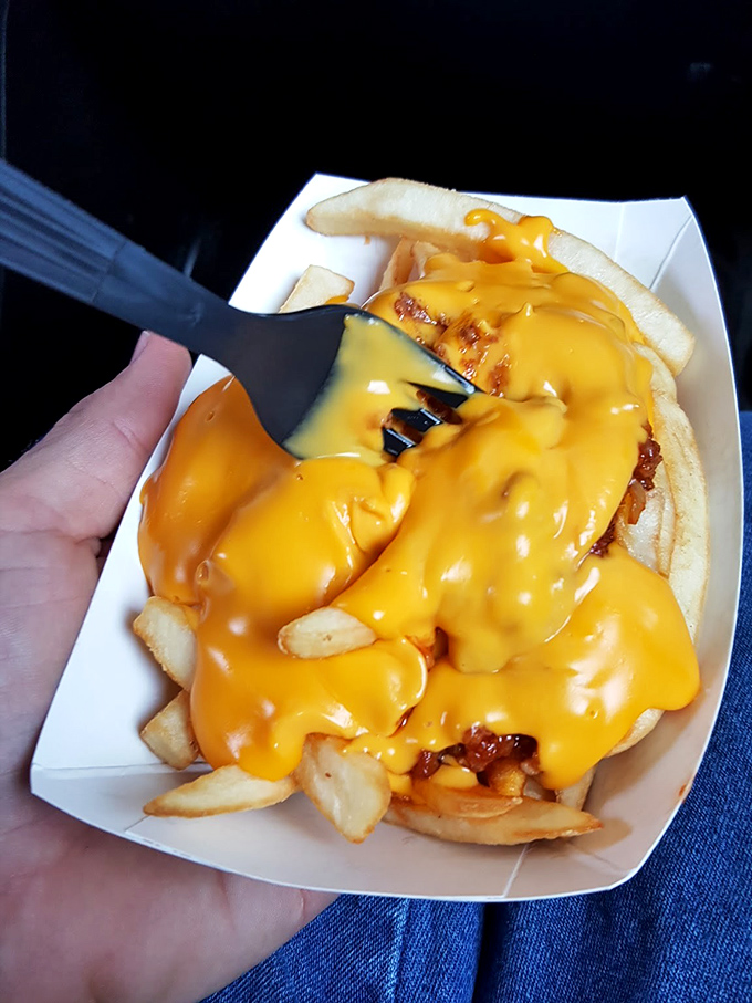 Cheese fries that don't apologize for their decadence. That molten cheese sauce transforms ordinary potatoes into a fork-worthy indulgence that demands to be shared.