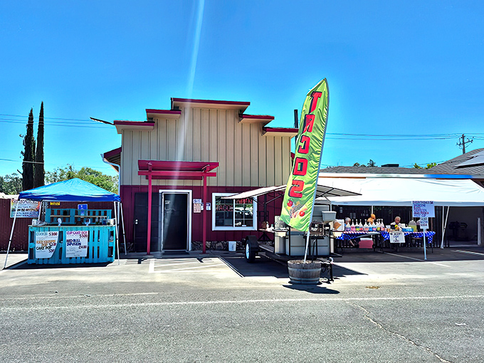 Local businesses with personality keep Clearlake's economy humming. No corporate sameness, just authentic small-town commerce.