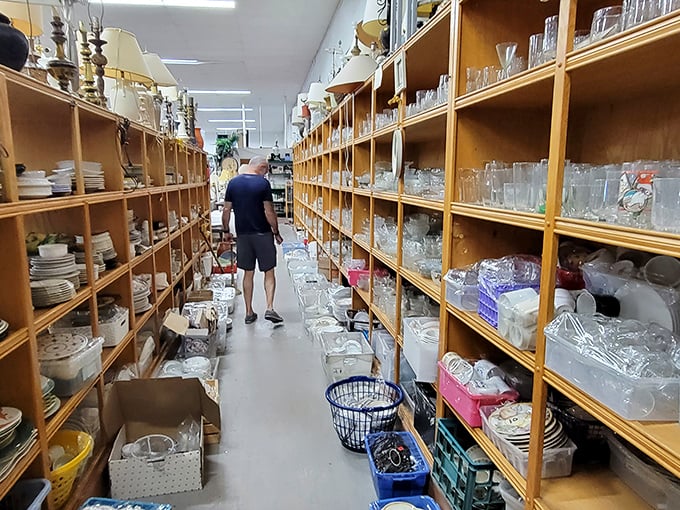 The glassware aisle—where one person's "we have too many cups" becomes another's "my collection is finally complete!"