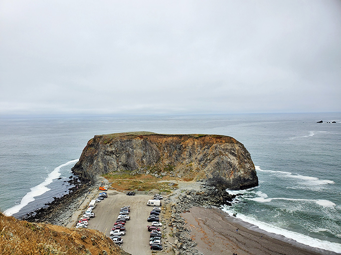 At Goat Rock Beach, the Pacific performs its eternal dance with the shoreline, creating a natural amphitheater of awesome geological proportions. 